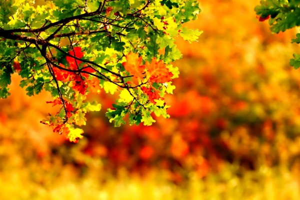 September Wallpapers High Quality - September Backgrounds - 1520x1013 ...
