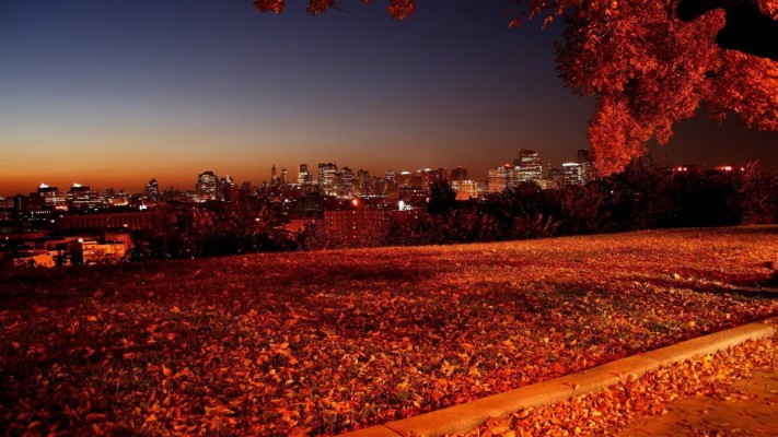 Autumn In The City Wallpaper - Autumn Wallpaper Night - 1920x1080 ...