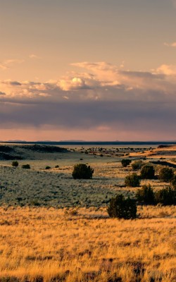 Prairie At Sunset - Prärie Wallpaper 4k - 1600x2560 Wallpaper - teahub.io