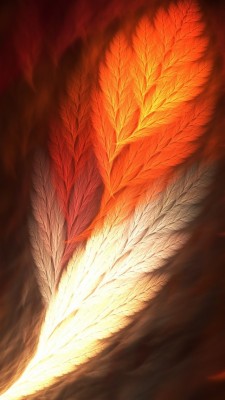 Multicolor Feather Artistic Cut - Green Red - 1200x480 Wallpaper ...