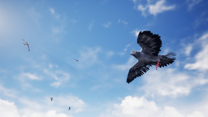 Blue Flocked Wallpaper Flock B Q Wallpapers Navy - 700x700 Wallpaper ...