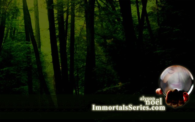 Immortals Wallpaper - Old-growth Forest - 1280x800 Wallpaper - teahub.io