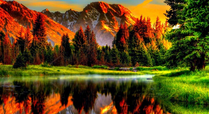 Best Hd Quality Images Of Free Scenic, Full Hd 1080p - 1600x873 ...