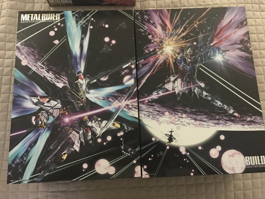 Strike Freedom Vs Destiny Metal Build - 4032x3024 Wallpaper - teahub.io