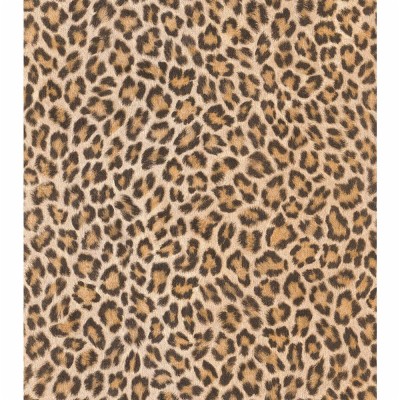 Leopard Print Vinyl - 1000x1000 Wallpaper - teahub.io