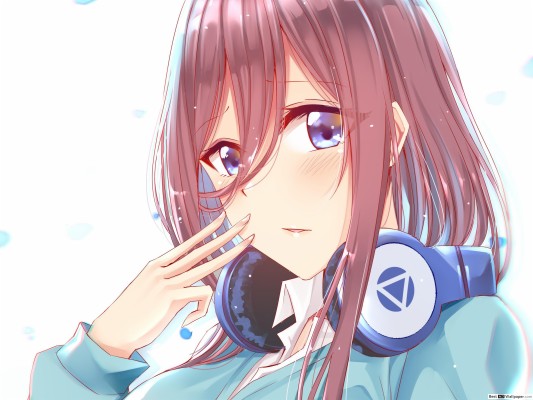 Quintessential Quintuplets Miku Profile - 3200x2400 Wallpaper - teahub.io