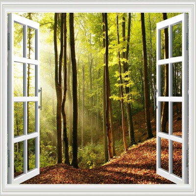 Window Scenery - 787x614 Wallpaper - teahub.io