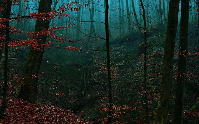 Take Back The Night Minecraft - 1920x1080 Wallpaper - teahub.io