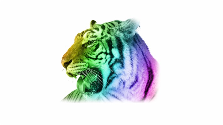 Dk Find Out Tiger - 1366x768 Wallpaper - teahub.io