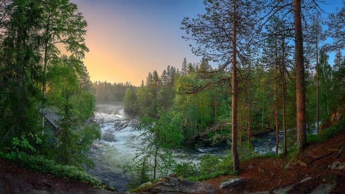 Wallpaper Finland, Forest, Trees, River, Nature Landscape - Finland ...