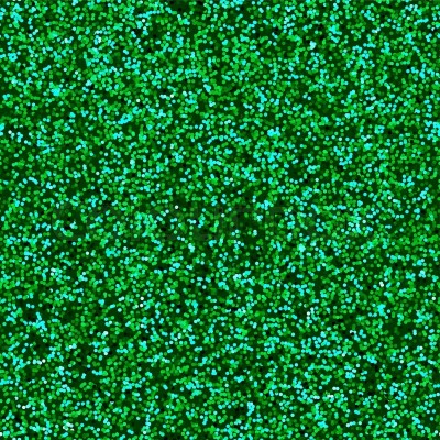 Gold Glitter Seamless Texture - 1000x1000 Wallpaper - teahub.io