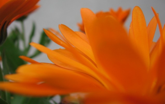 Ubuntu Naranja Wallpapers - Ubuntu - 1280x804 Wallpaper - teahub.io