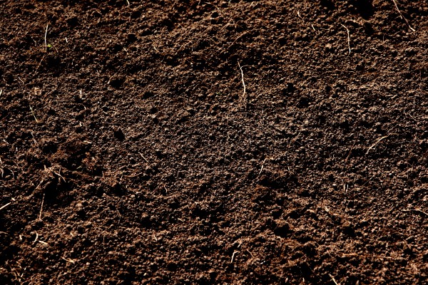 Soil Wallpaper - 1920x1080 Wallpaper - teahub.io