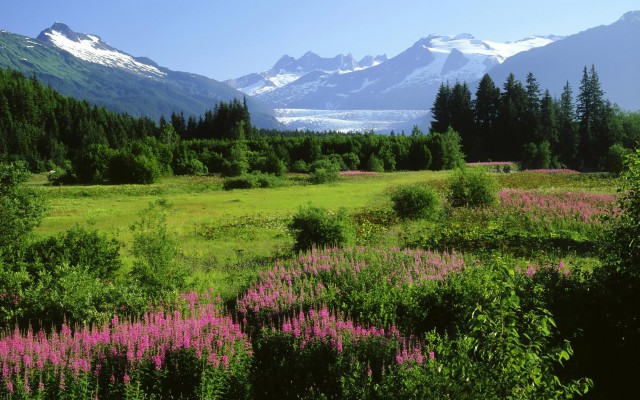 New Land Windows 7 Scenery Wallpaper - Hd Wallpaper Alaska - 1920x1200 ...