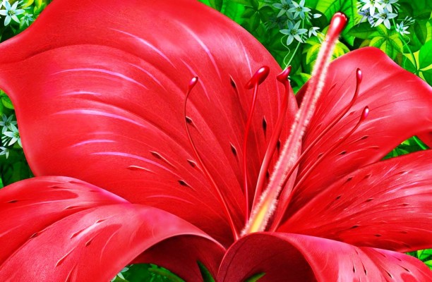 Flower Digital Art Png - 1920x1080 Wallpaper - teahub.io