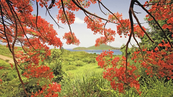 Hd Puerto Rico Backgrounds - Autumn In Puerto Rico - 1920x1080 ...