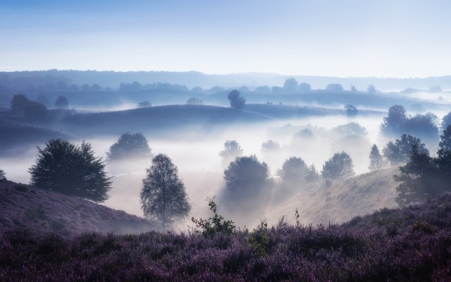 Netherlands Morning Mist - 1920x1200 Wallpaper - teahub.io