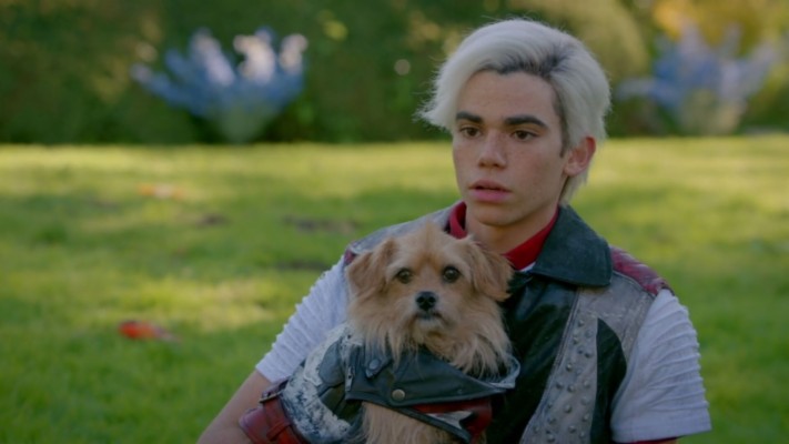 Cameron Boyce Descendants Dog - 1920x1080 Wallpaper - teahub.io