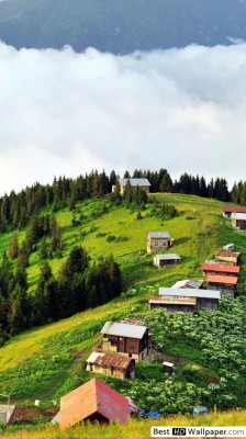 Rural Area - 1920x1080 Wallpaper - teahub.io