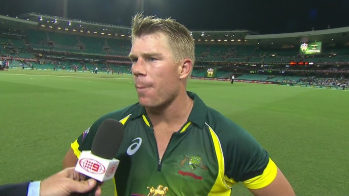 David Warner 300 - 2400x1556 Wallpaper - teahub.io