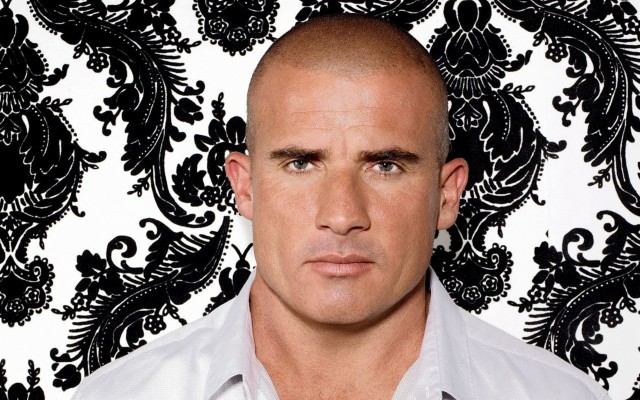 Men Man Portrait Adult Prison Break Serious Actor - Guys From Prison ...