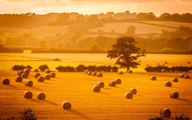 Windows Hay - 1399x873 Wallpaper - teahub.io