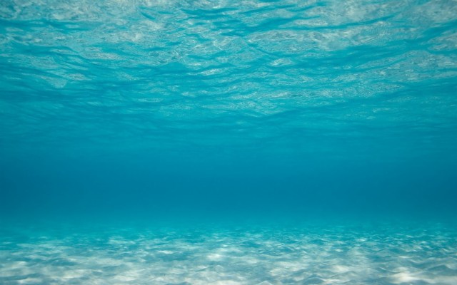Desk Photos - High Resolution Underwater Background - 1680x1050 ...
