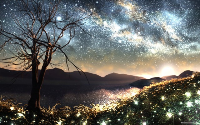 Firefly Hd Wallpaper - Jugnu Insect In Night - 1920x1080 Wallpaper ...