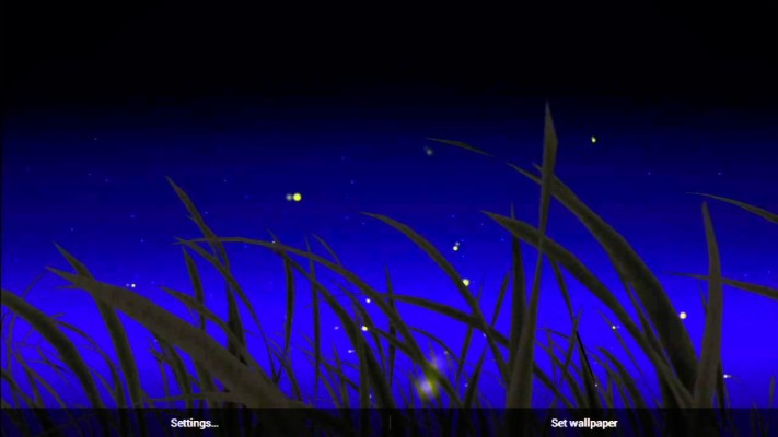 Firefly Hd Wallpaper - Jugnu Insect In Night - 1920x1080 Wallpaper ...