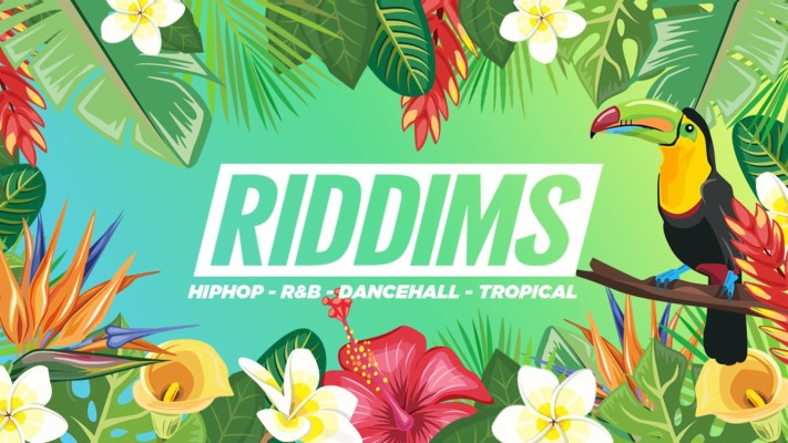 Flyer Riddims - Chinese Hibiscus - 1920x1080 Wallpaper - teahub.io