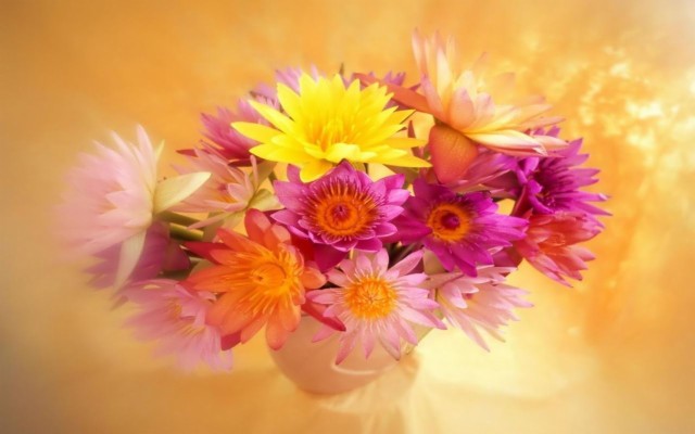 Bunch Of Flowers Desktop Wallpaper - Bunch Of Flower Images Hd ...