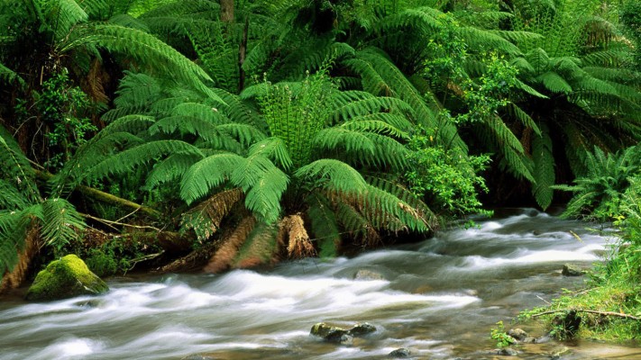 Natural High Quality Pictures Free Download Nature - Beautiful Full Hd ...