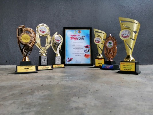 Ikan Laga - 960x720 Wallpaper - teahub.io