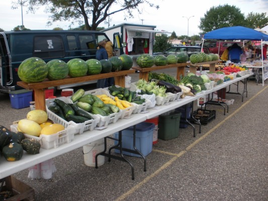 Cucumber - 1024x768 Wallpaper - teahub.io