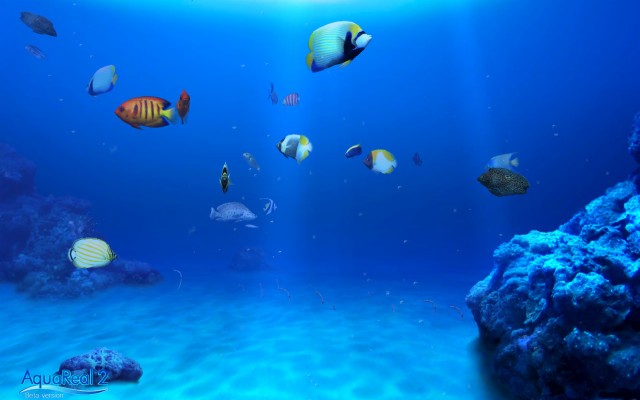 Digifish Aqua Real - 1280x800 Wallpaper - teahub.io