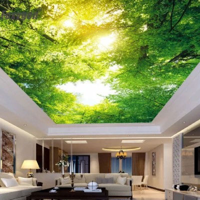 3d Pop Ceiling Design - 1017x712 Wallpaper - teahub.io