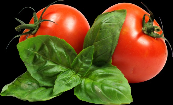 High Res Tomato Png - 3113x1887 Wallpaper - teahub.io