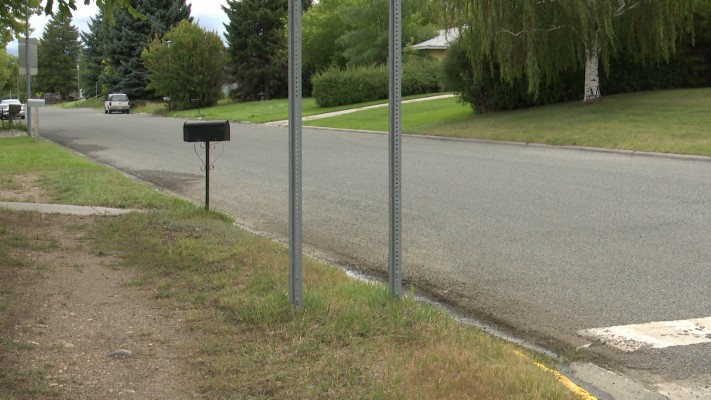 Items - [0] - Image - Alt - Tree - 1920x1080 Wallpaper - teahub.io