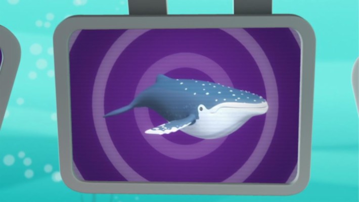 Octonauts Creature Report Whale - 1000x563 Wallpaper - teahub.io
