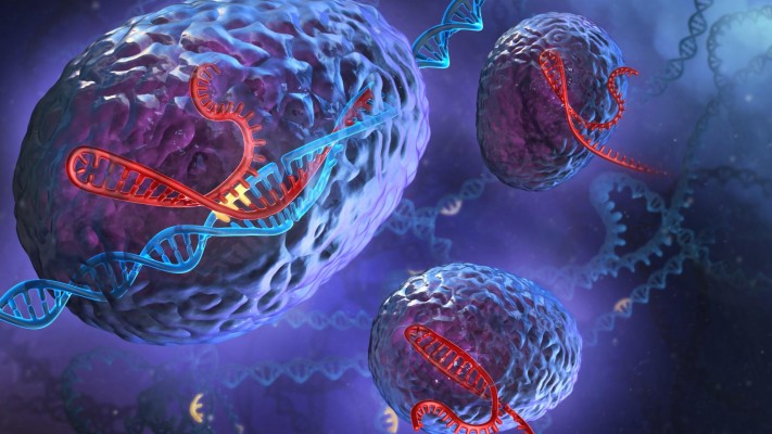 Crispr Cas9 - 1920x1080 Wallpaper - teahub.io