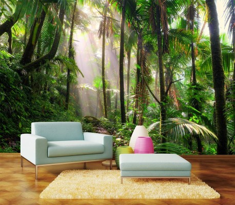 Tropical Rainforest Wallpaper - Amazon Rainforest In Colombia ...