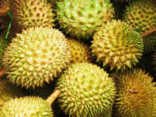 Durian Hd - 1600x1200 Wallpaper - teahub.io