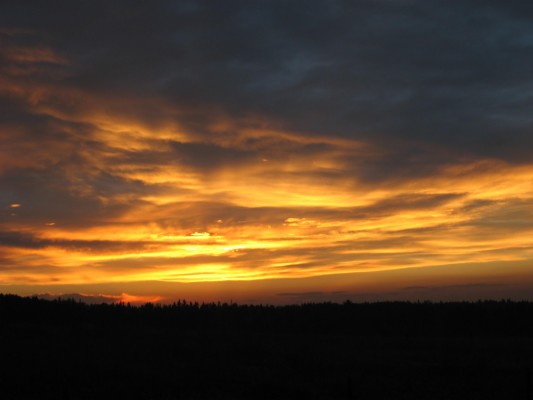 Dark Sunset Hd - Dark Sunset - 2560x1440 Wallpaper - teahub.io