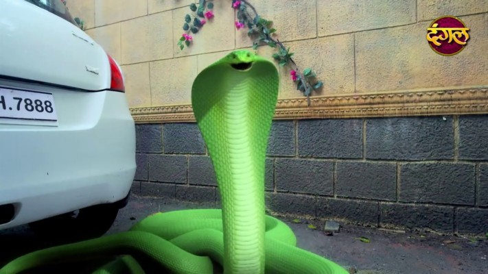 Naag Nagin Wallpaper - 1920x1080 Wallpaper - teahub.io