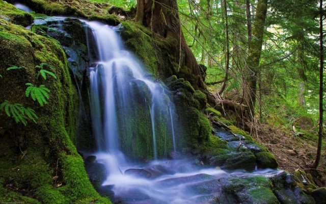 Download Nature Photo Wallpapers and Backgrounds - teahub.io