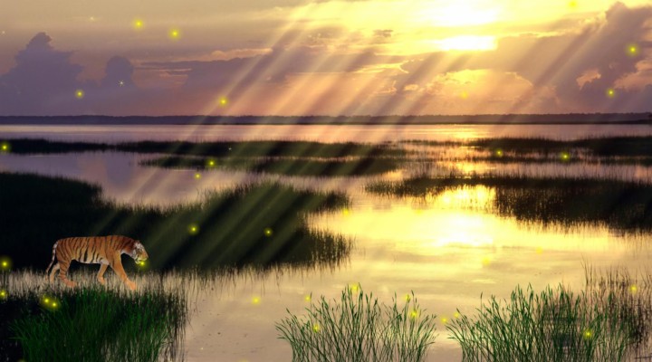 Moving Animal Wallpapers Group - Dawn Breaking - 1487x825 Wallpaper ...