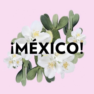 Orders Will Ship Tomorrow - 1115x1115 Wallpaper - teahub.io