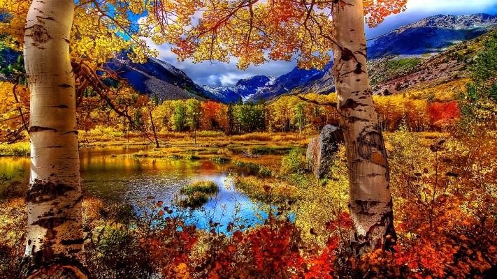 Awesome Bright Autumn Scenery Wallpaper1366x76861883 - Hd Fall ...