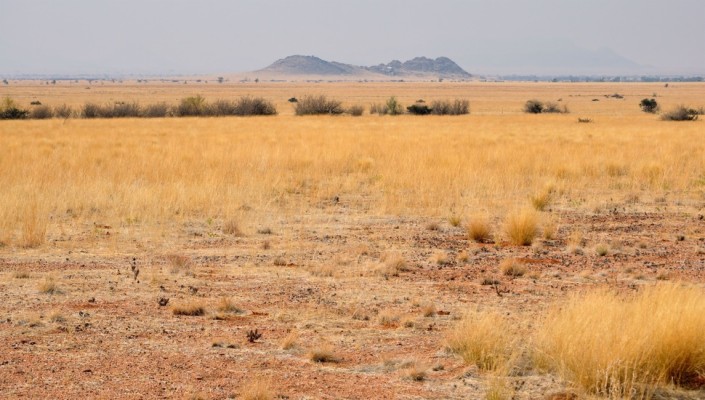 Desert, Savannah, Namibia, Landscape, South Africa, - Savannah ...