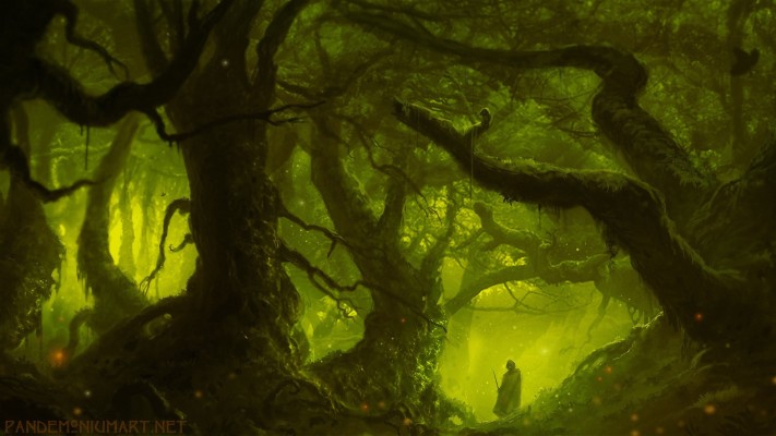 Dark Fantasy Wallpaper Hd - Dark Forest Fantasy Hd - 1442x804 Wallpaper ...